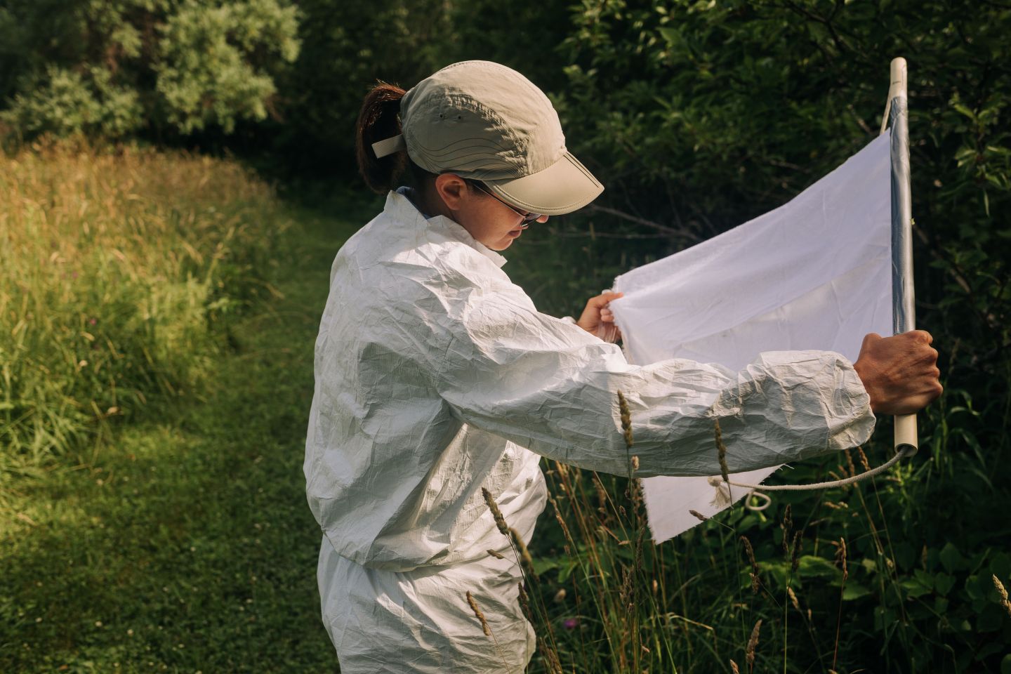 Ticknet – Canada's research network for tick-borne zoonotic diseases