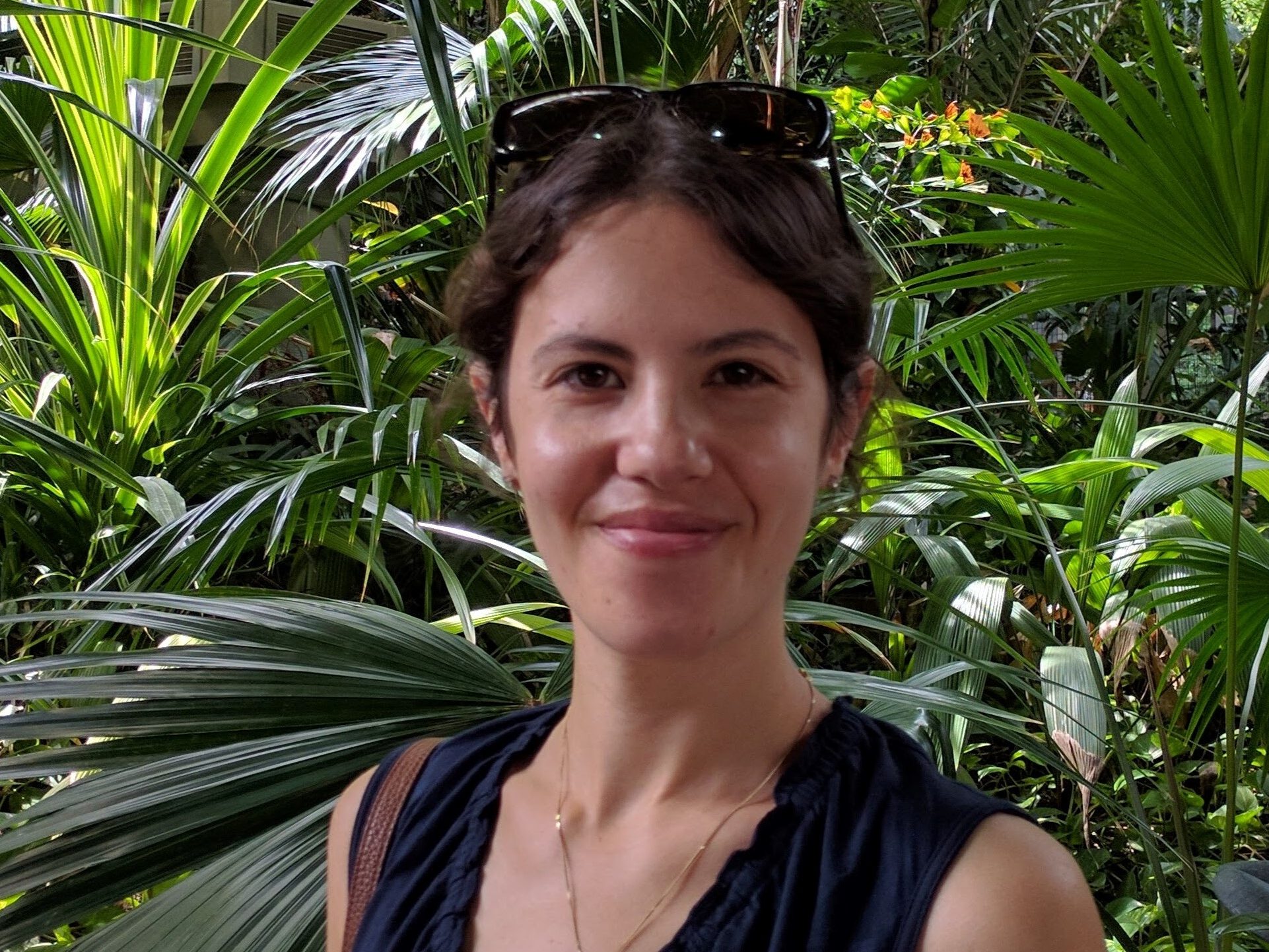 About Us – Ticknet